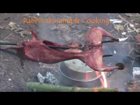 Rabbit skinning and cooking on a campfire , Dutch Oven casserole - YouTube