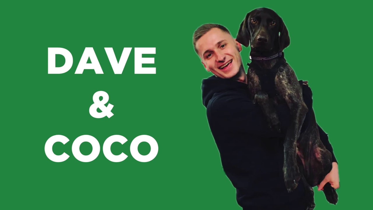 Dave and Coco attempt Crufts 2020 - YouTube