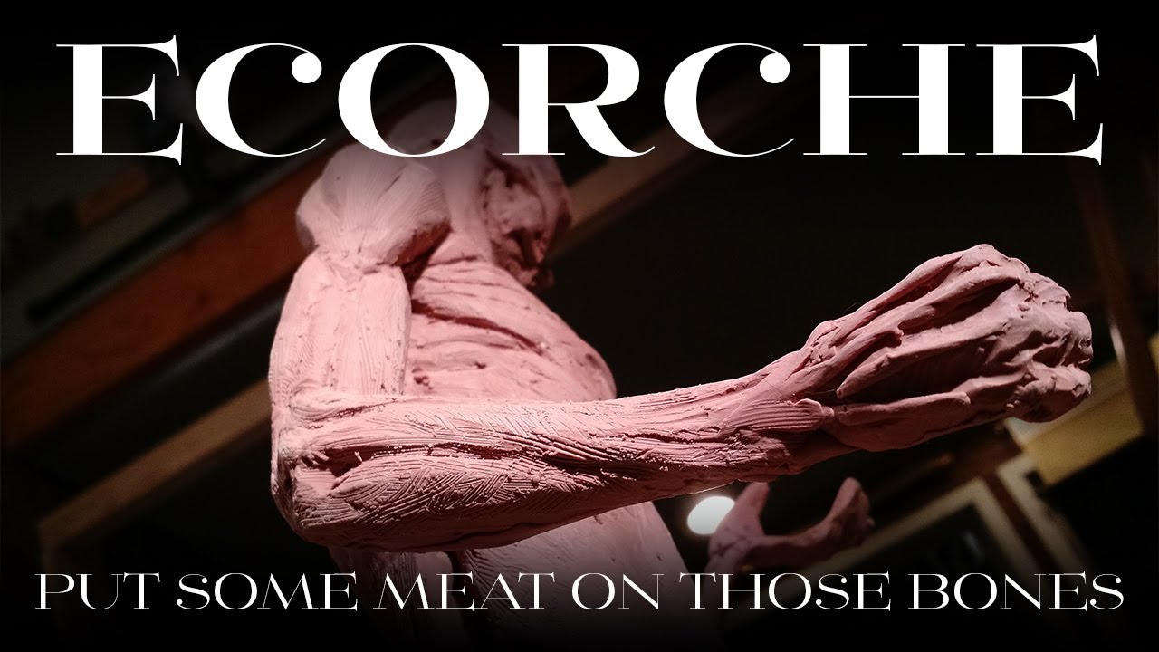 Ecorch Put Some Meat On Those Bones YouTube ecorch-put-some-meat-on-those-bones-youtube