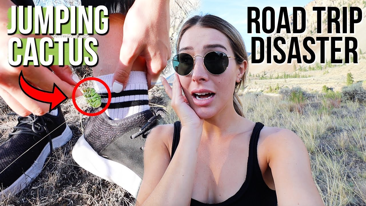 JUMPING CACTUS ATTACK On ROAD TRIP In British Columbia (These Are Real ...