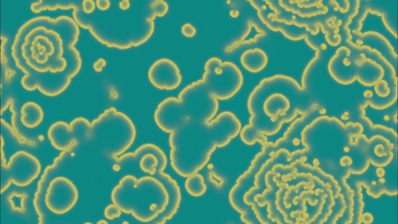 Reaction-Diffusion simulation: spirals pattern - YouTube