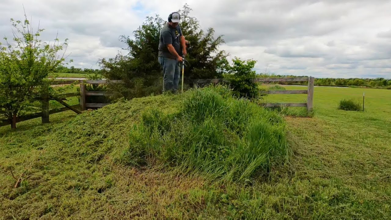 Country Mowing Crazy Overgrown Grass in Field and Around Pond - Cutting ...