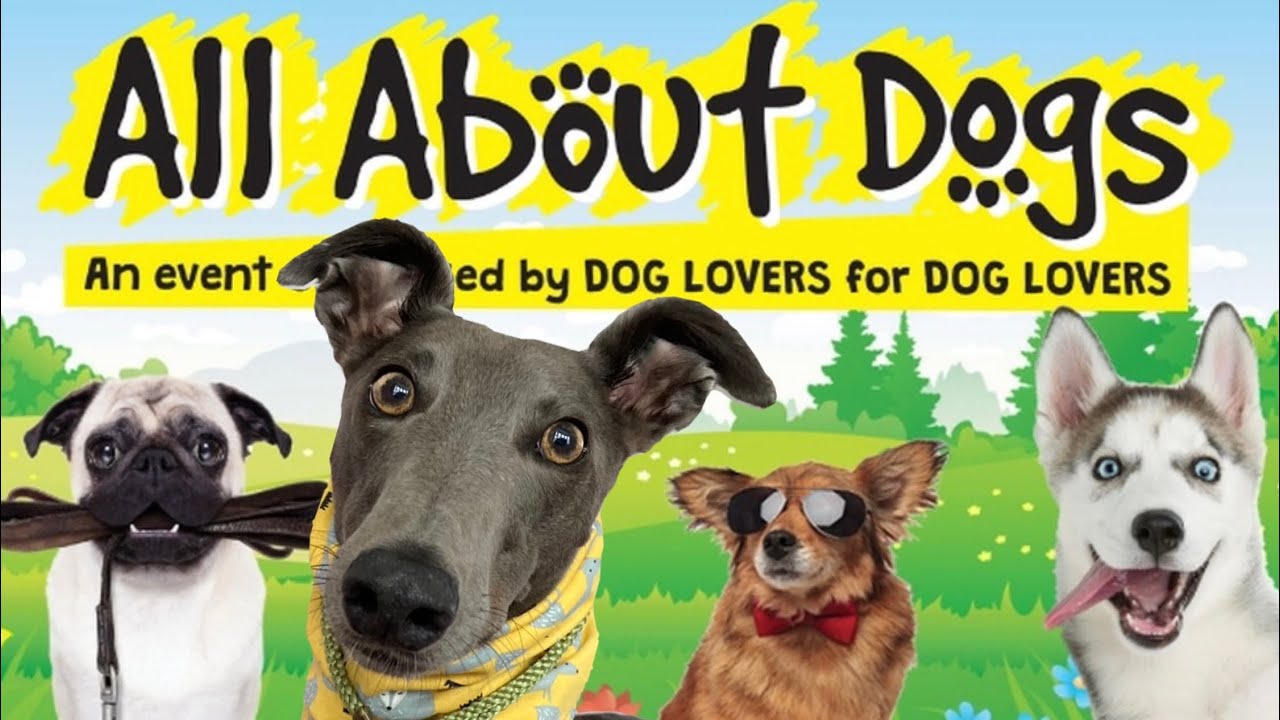 GREYHOUND tries LURE COURSING and FLYBALL at the ‘All About Dogs Show ...