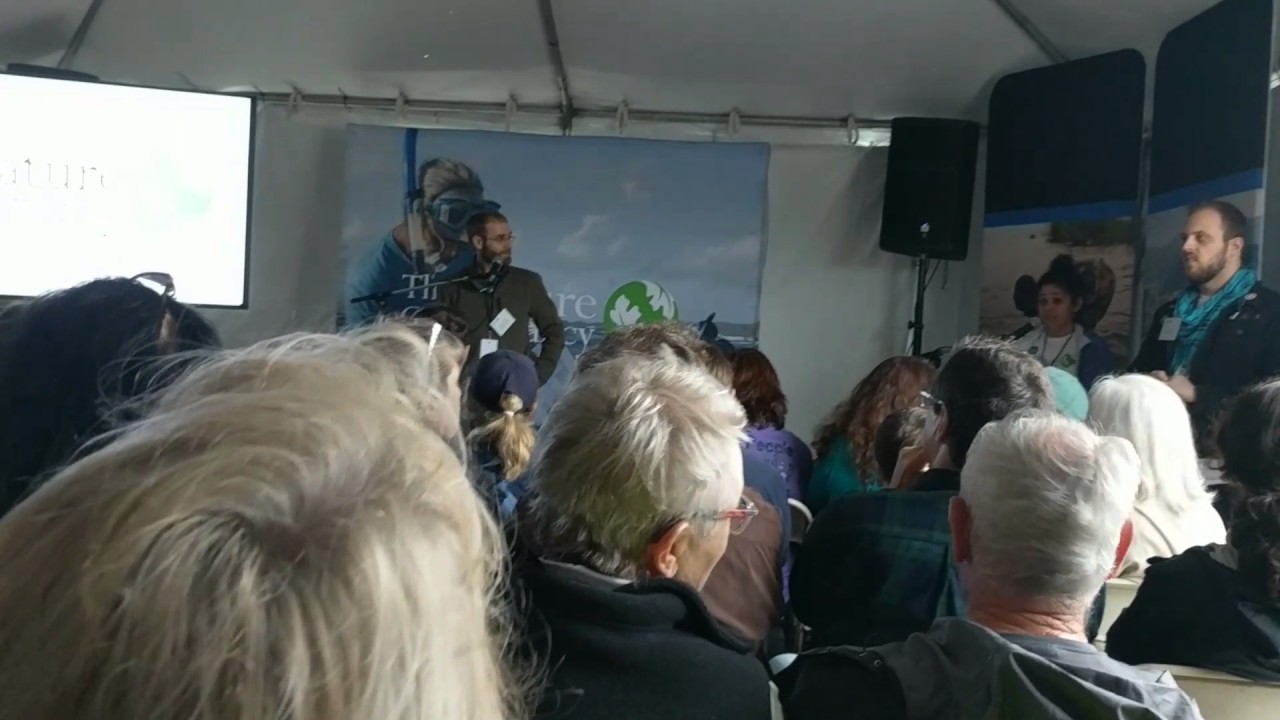 Aaron Iverson talk: pollinator friendly farmlands - YouTube