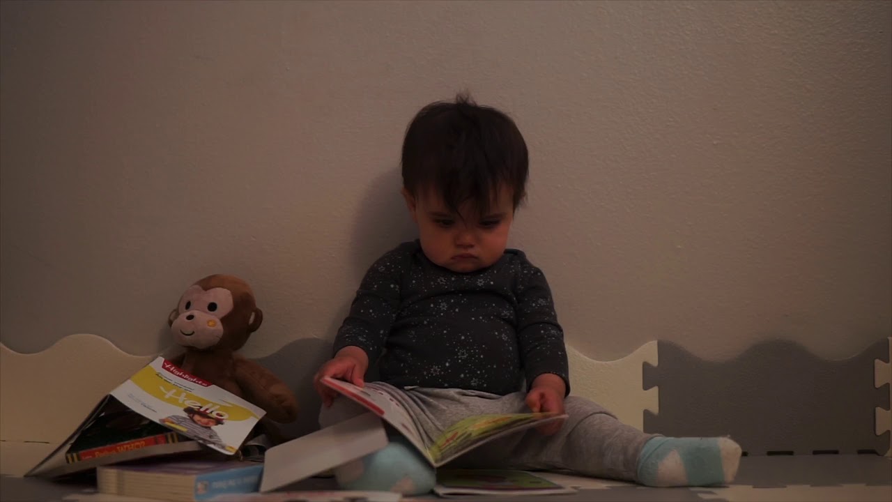 Reading Books With Ollie - Scarlet's Web - YouTube
