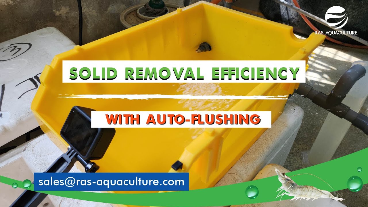 Unleashing Solid Removal Mastery: PISB Boxes & Automated Flushing for ...