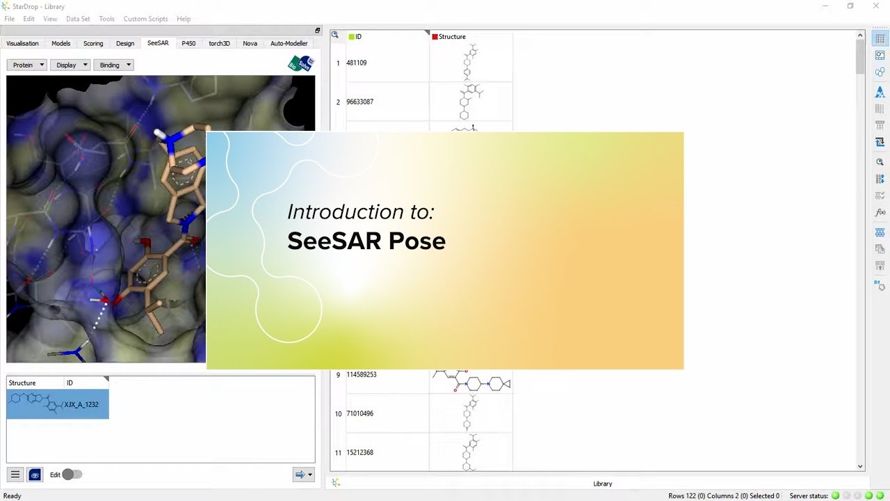 Introduction to SeeSAR Pose - YouTube