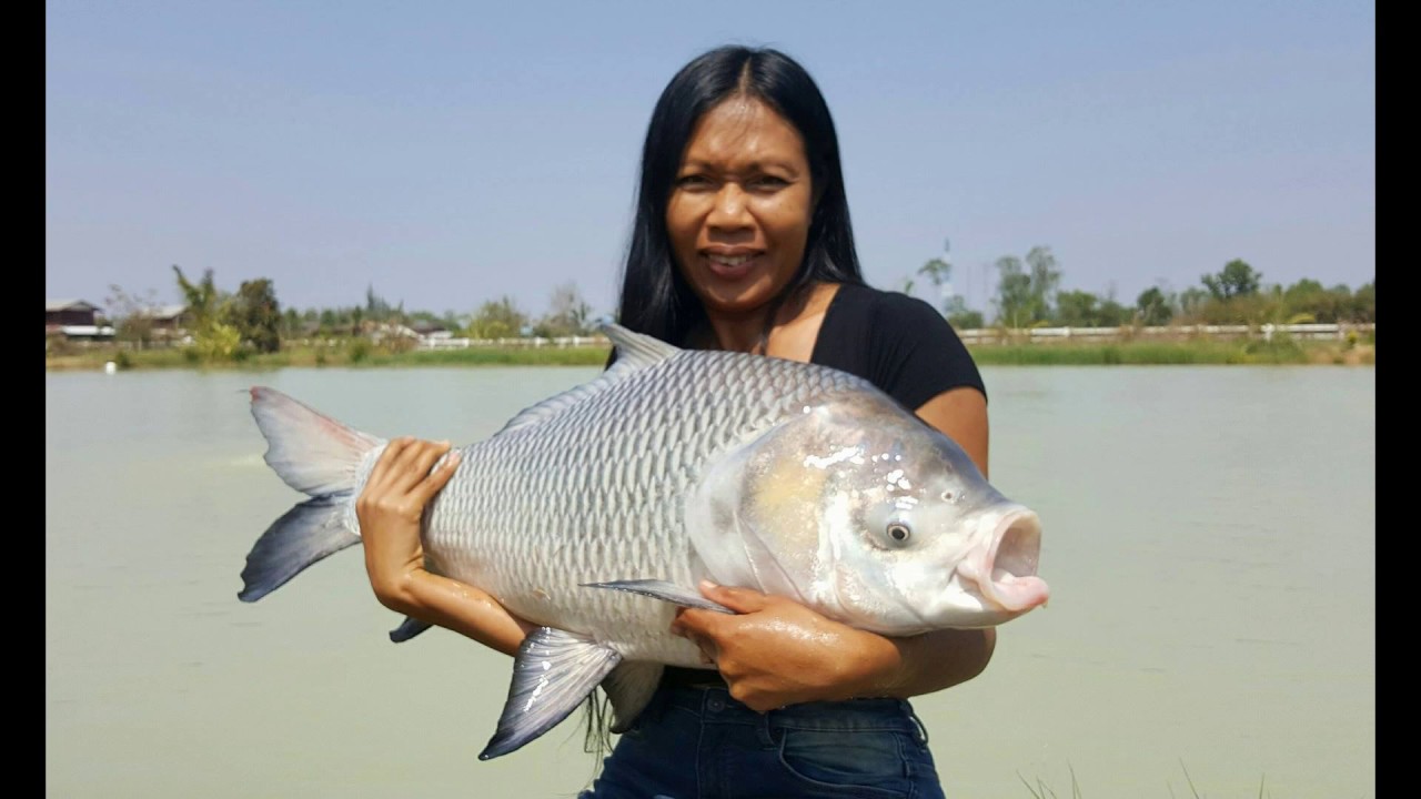 Fishing for Catla Catla Indian Carp in Udon Thani Thailand - Leks ...