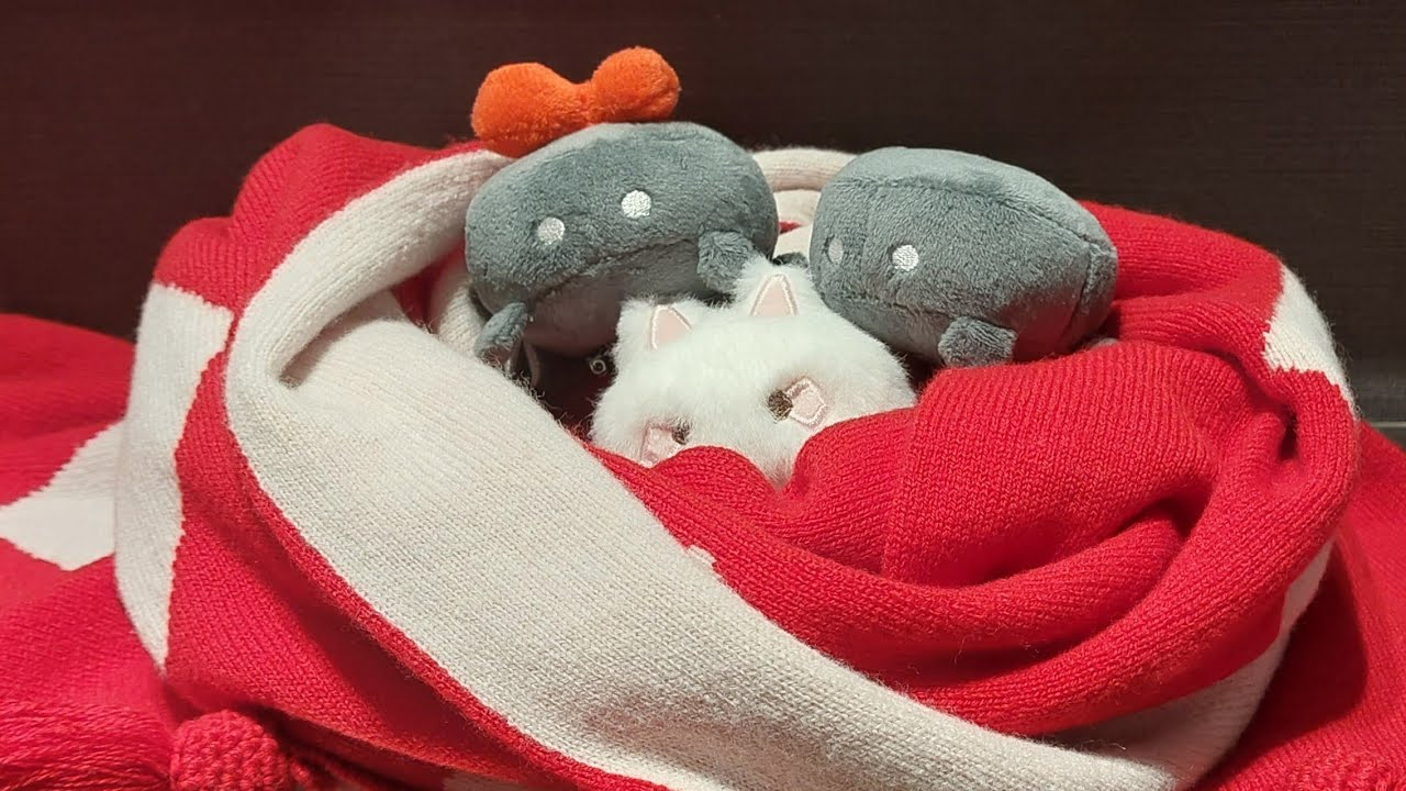 【Sky POP UP STORE】行ってきた～！ - YouTube