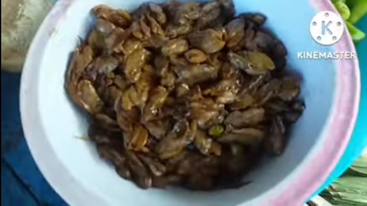 Part2#CatchNcook(pamingwit/bebe shell) #Torelian Vlogs - YouTube