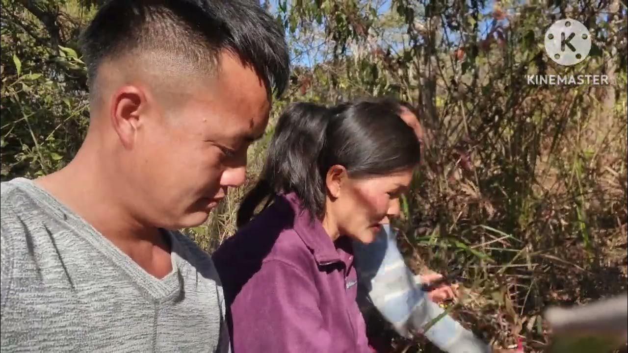 Xiab ib hnub no peb cov me nus muag mus saib kuv txiv os 30/12/2024 - YouTube