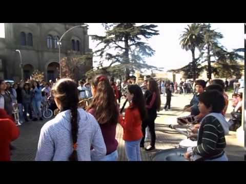 FLASH MOB en FLORIDA - YouTube