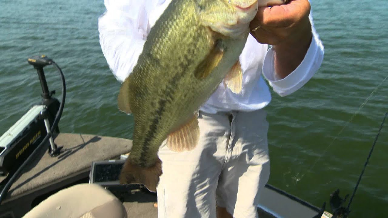 Mastering the Patterns of Madison - YouTube