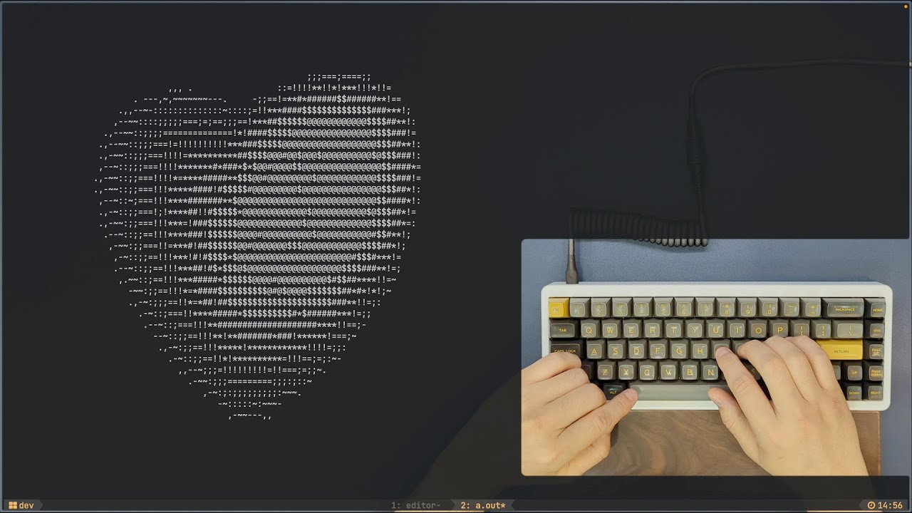 Asmr Programming Spinning Beating Heart C No Talking Youtube