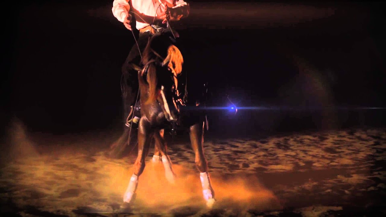 Clinton Anderson Performance Horses - YouTube
