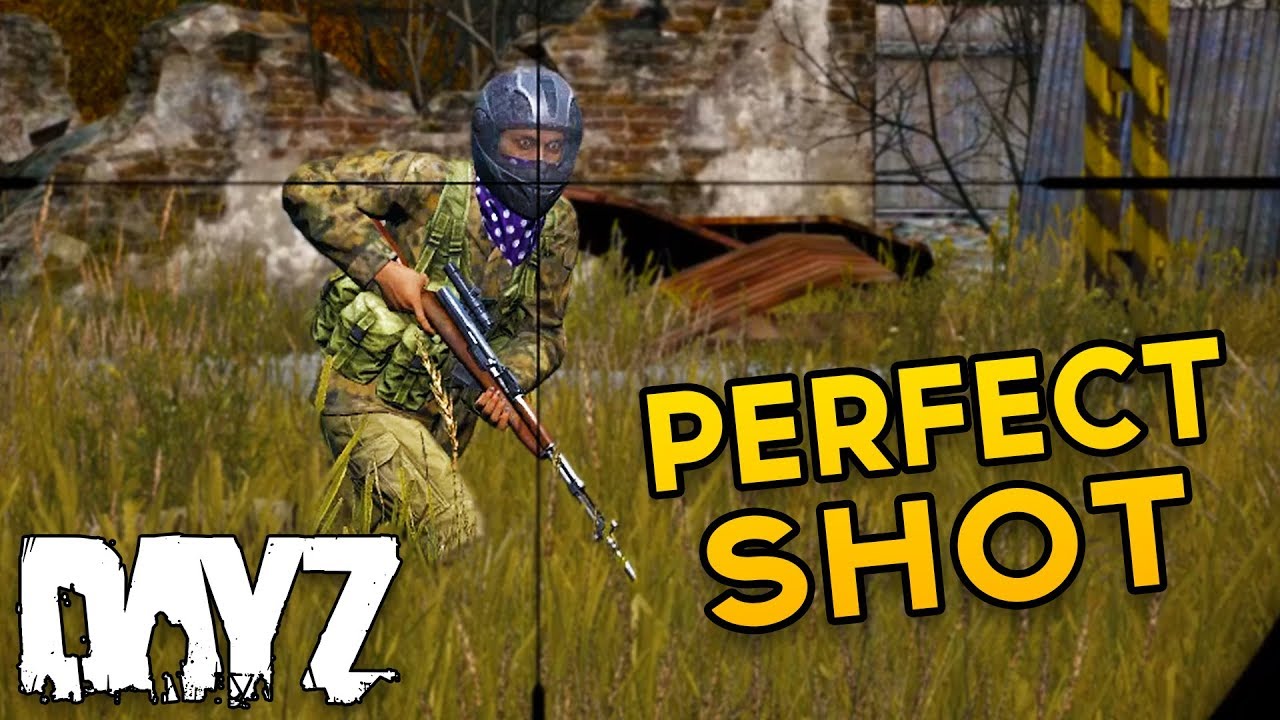 Perfectly Timed Shot - DayZ Standalone - YouTube