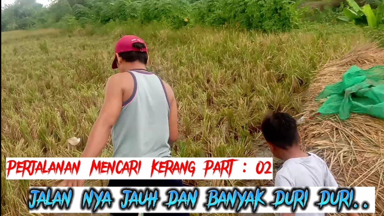 KERANG BULAT IJO MIRIP MIRIP APA GITU..!! hampir sampai di lokasi..part ...