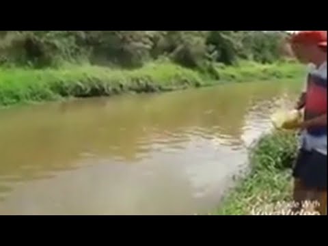 GRABE YUNG MGA ISDA 😮😲