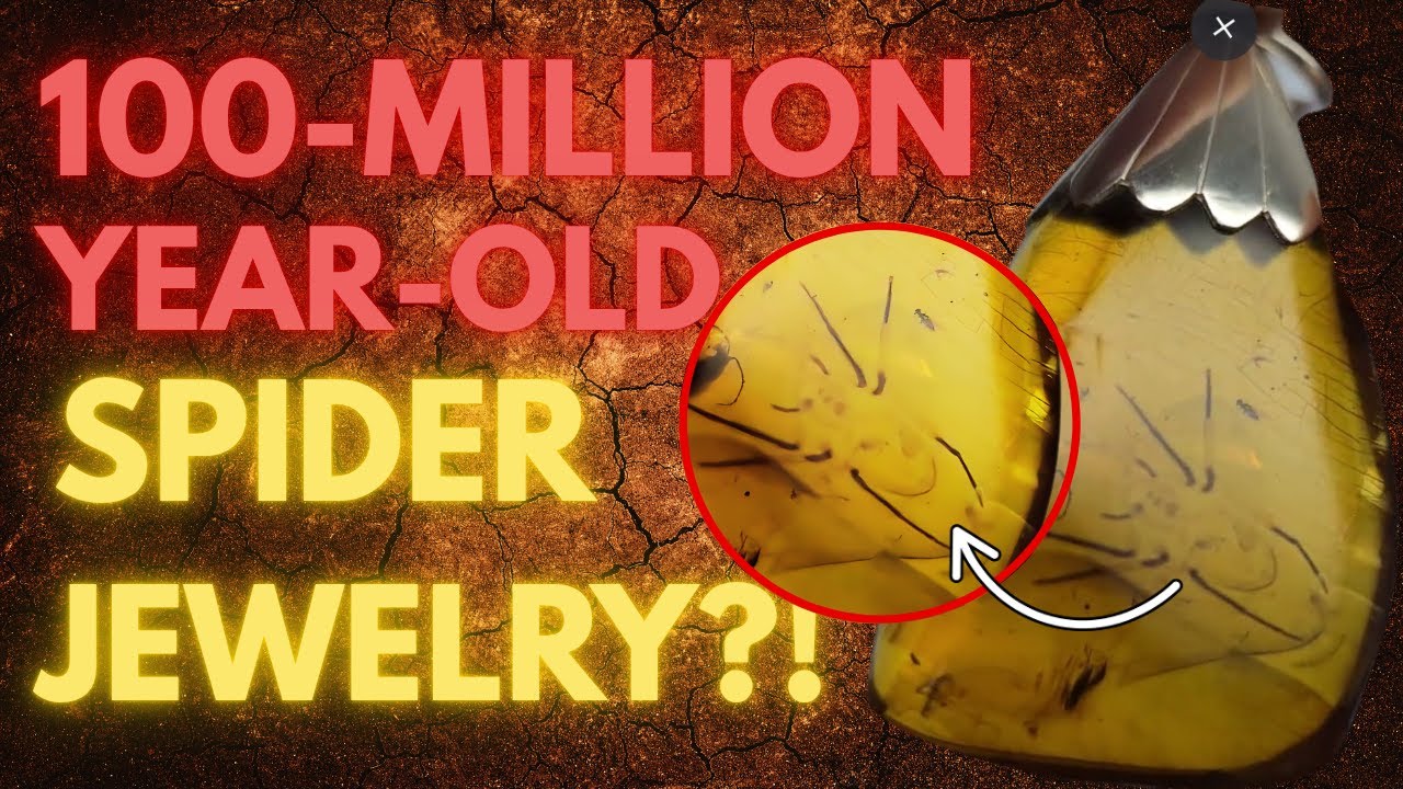 Cretaceous spider in Burmese Amber and silver pendant - YouTube