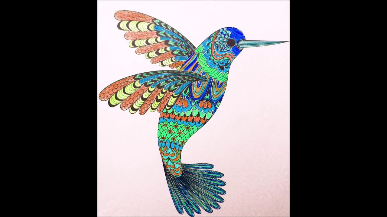 4th Dimension/Astral Hummingbird, Metaphysical Mystery Meditation #20 ...