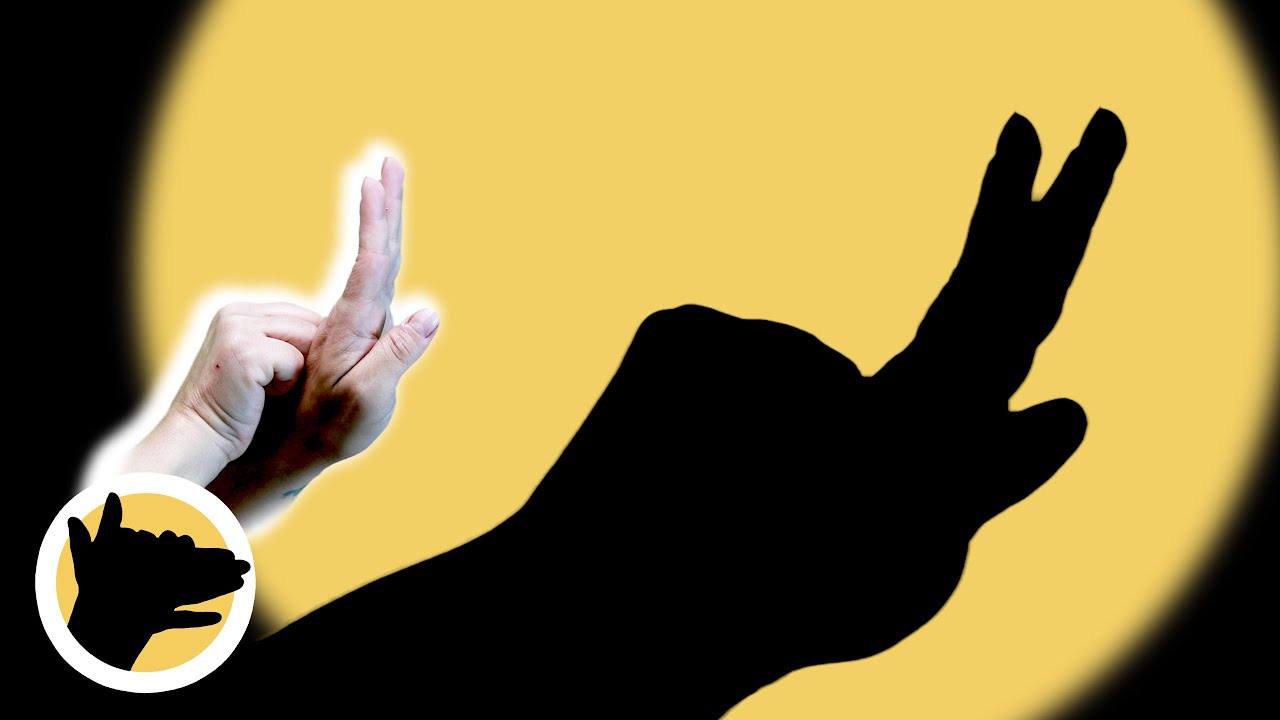 Amazing 🐌 SNAIL SHADOW with Your Hands! 🌟 - YouTube