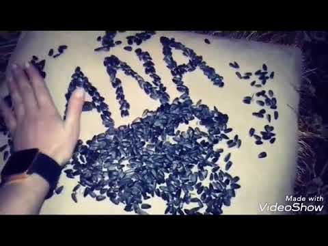 Ana-a aid video.