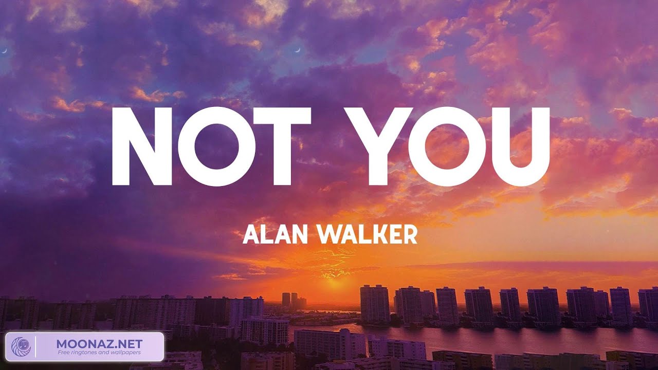 Not You - Alan Walker (Lyrics) Lewis Capaldi, Alec Benjamin,... Mix ...