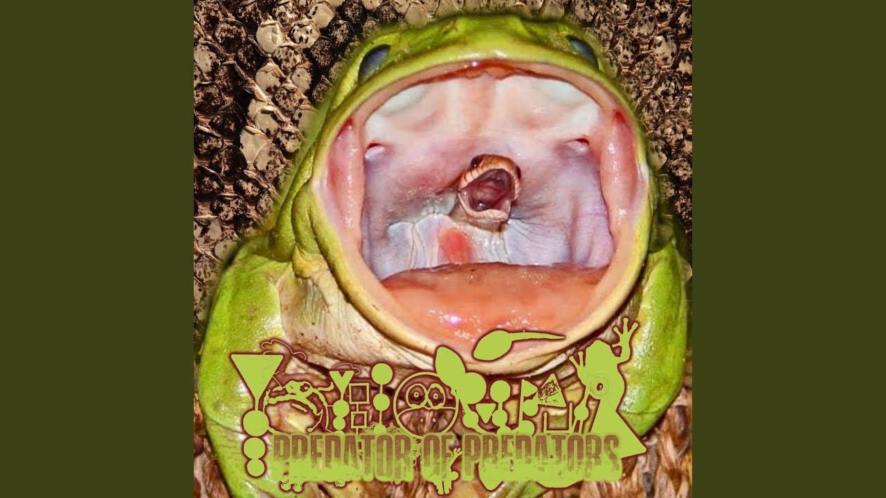 Frog Gigger Wig Splitter - YouTube