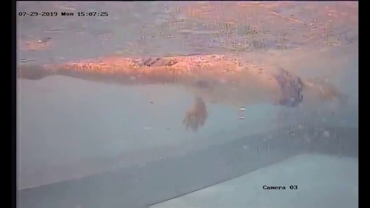 Improving the catch phase for front crawl - YouTube