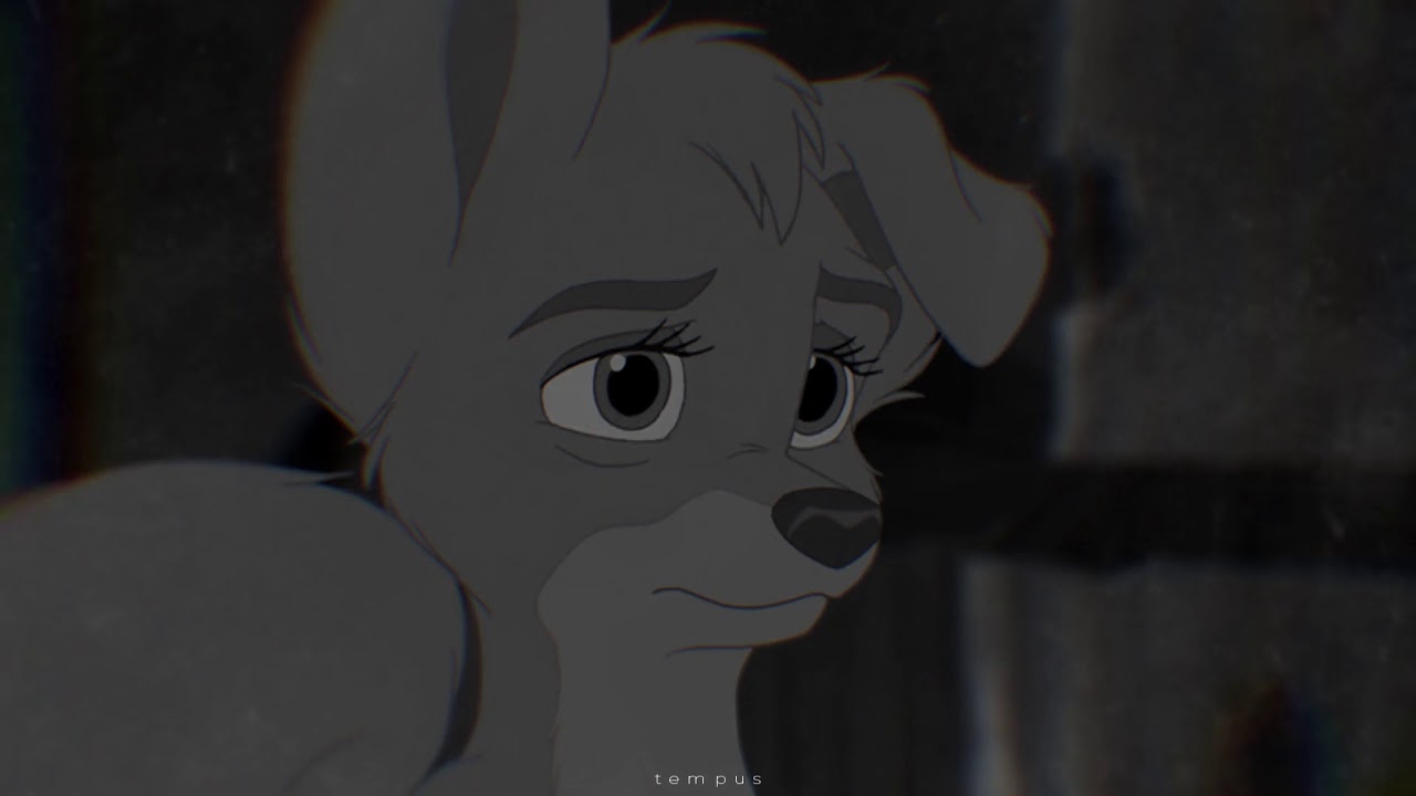 [ this is my show. ] - YouTube