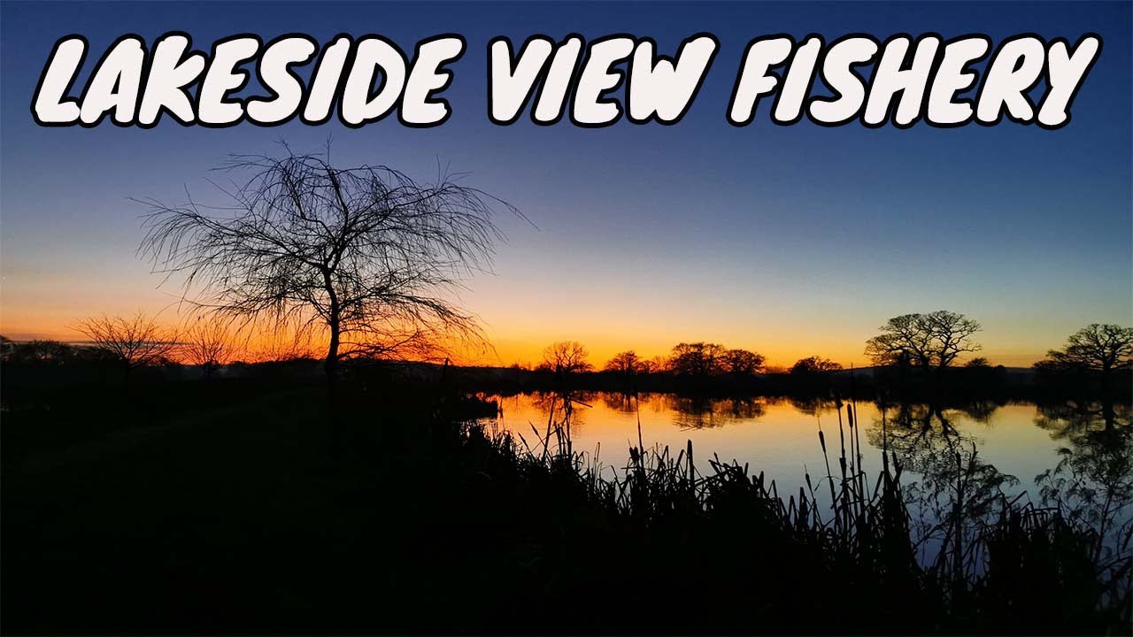 LAKESIDE VIEW FISHERY **Carp Fishing** - YouTube