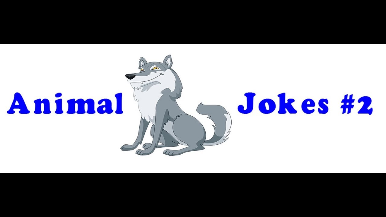 Animal Jokes #2 Animated - Pinoy Q and A Jokes - YouTube