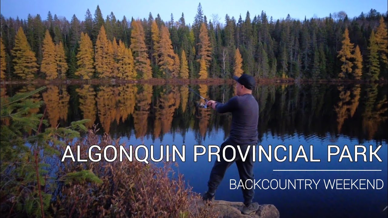 Algonquin | Highland Trail [Faya Lake] Backcountry Camp | October 2022 ...