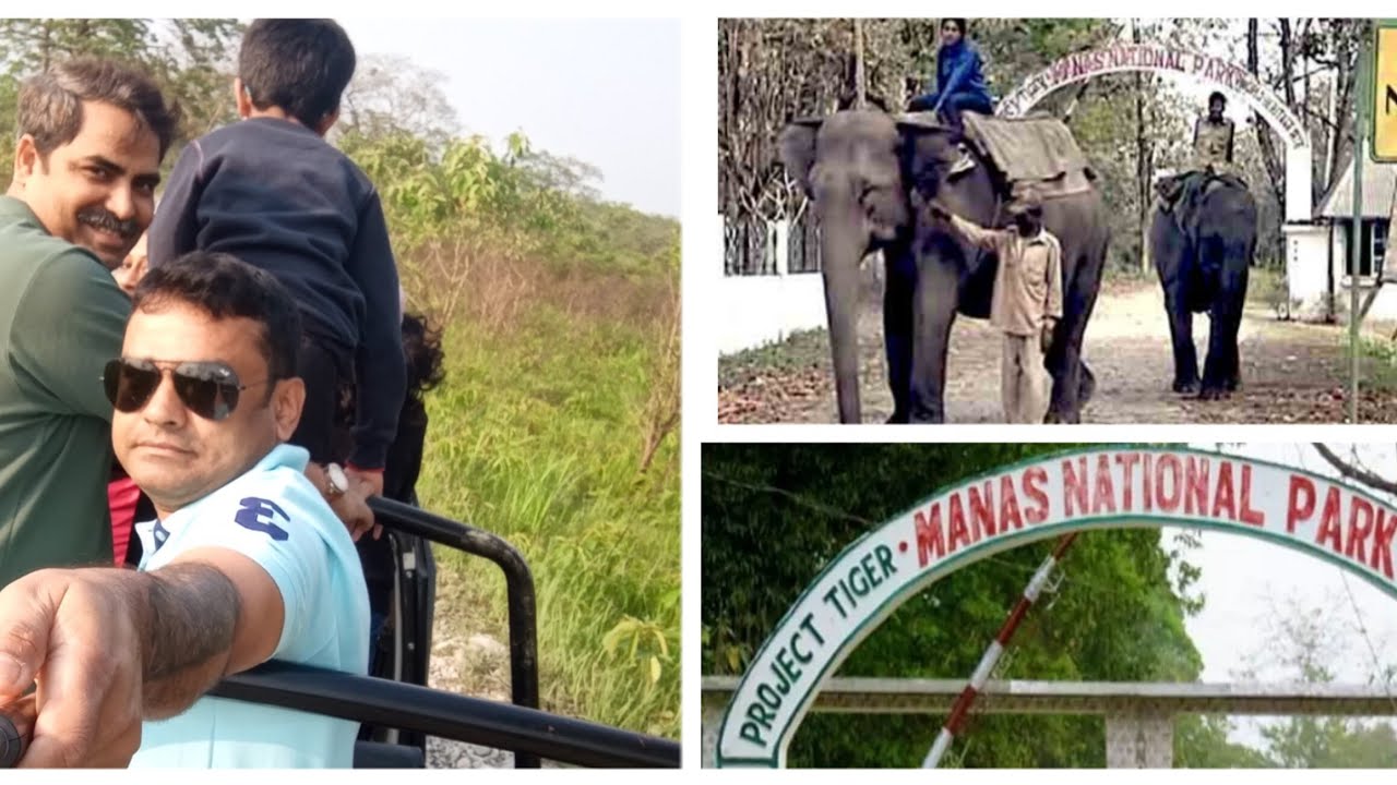ASSAM DIARY DAY-2 WITH MANAS NATIONAL PARK - YouTube