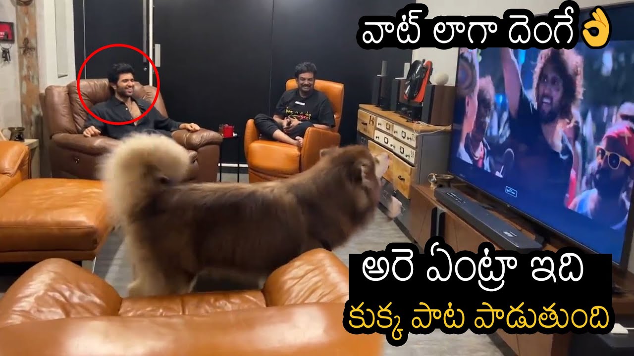 కుక్క పాట పాడుతుంది | See How Charmy Dog Singing Waat LagaDenge Song ...