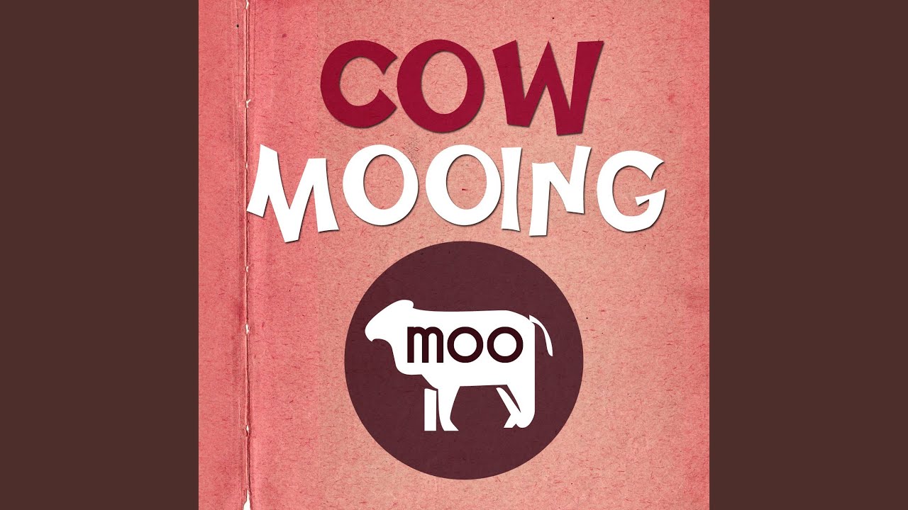 Cow Mooing Sound Effect Ringtone - YouTube