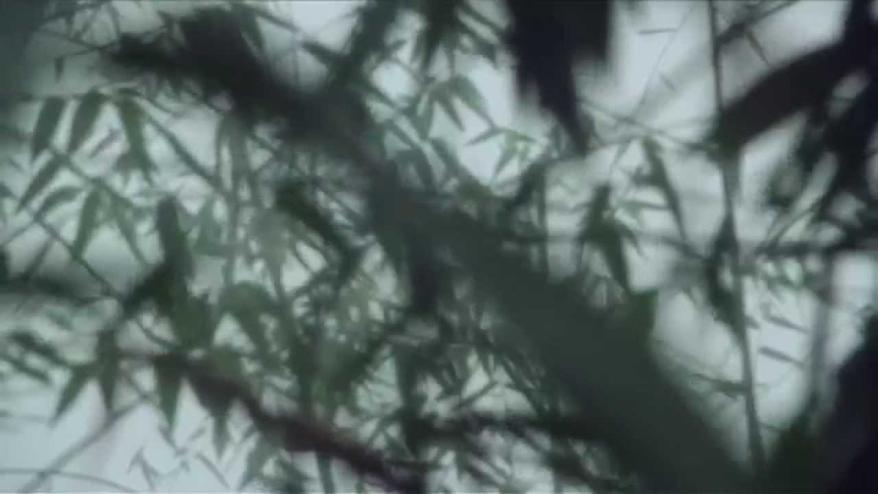 swati kalsi: Craft Log- Sujani Embroidery(2015), India (Bihar) - YouTube