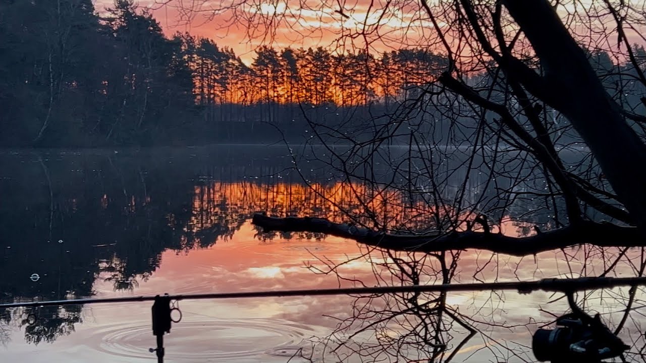 Pike fishing - dead baiting- night fishing for pike - YouTube