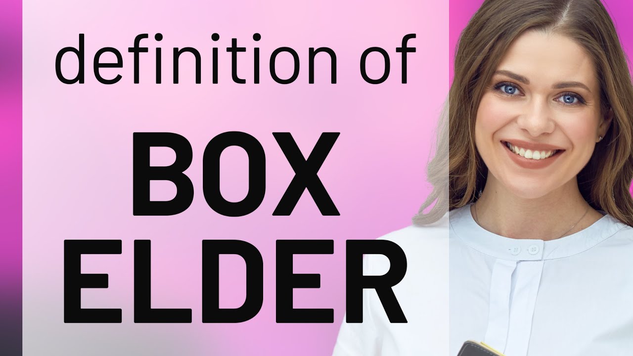 Box elder • BOX ELDER definition - YouTube
