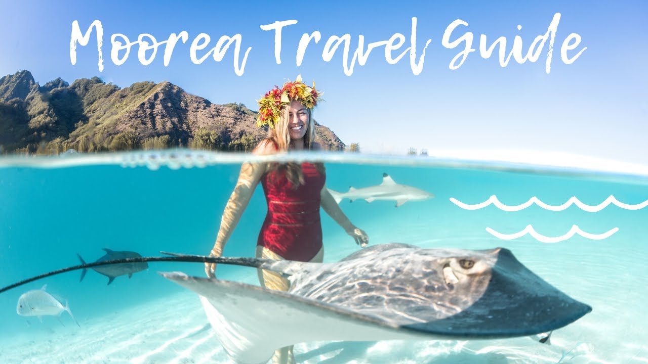 10 Things You Must Do in Moorea - Travel Guide - YouTube