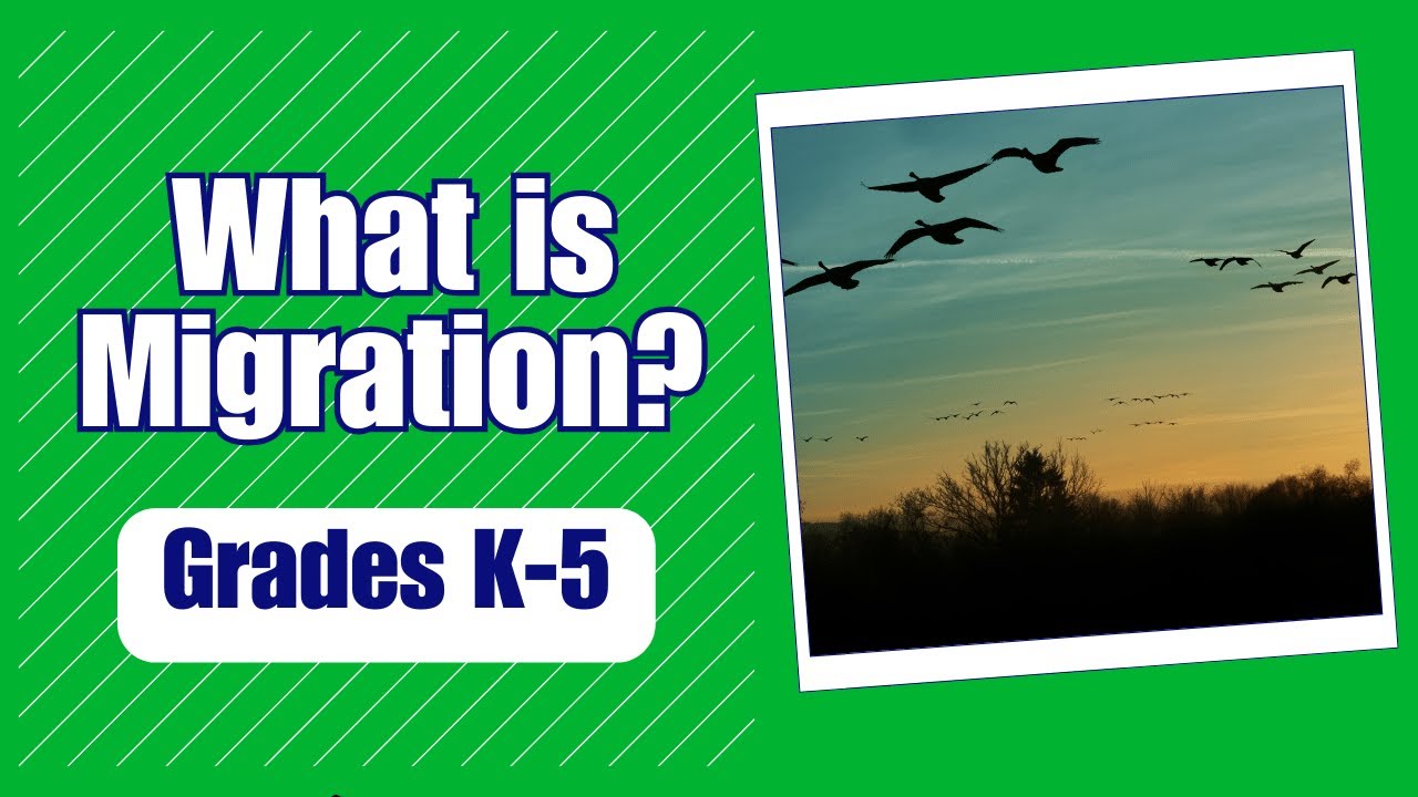 What is Migration? | Learn about - YouTube