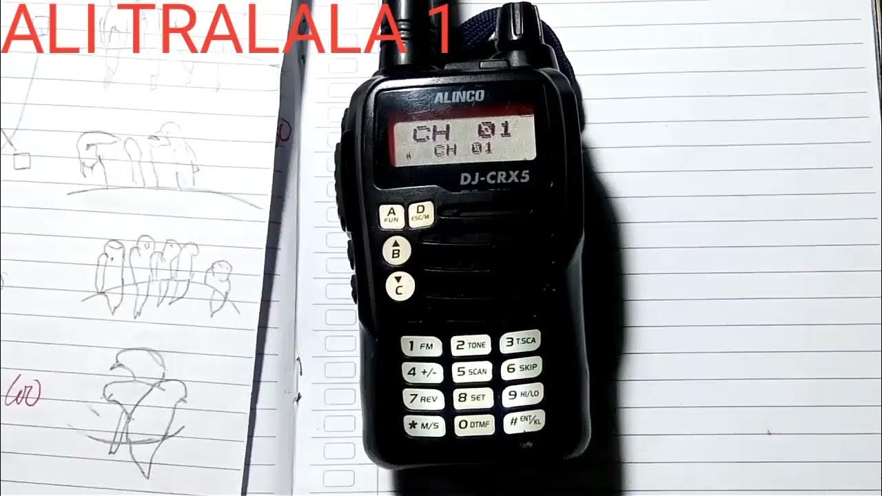 Cara reset Ht Alinco DJ CRX5 @alitralala1460 - YouTube