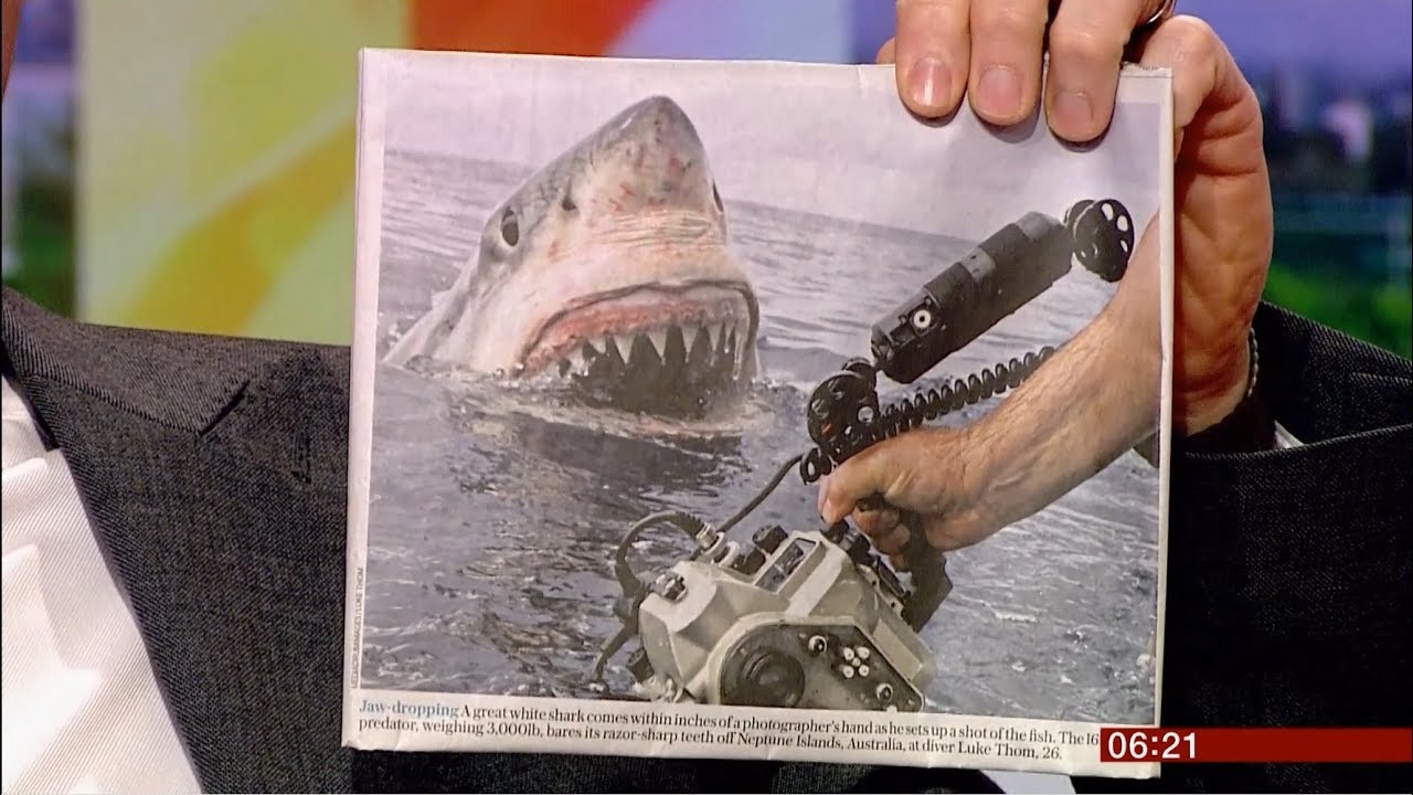 Real life jaws image (Australia) - BBC News - 19th February 2019 - YouTube