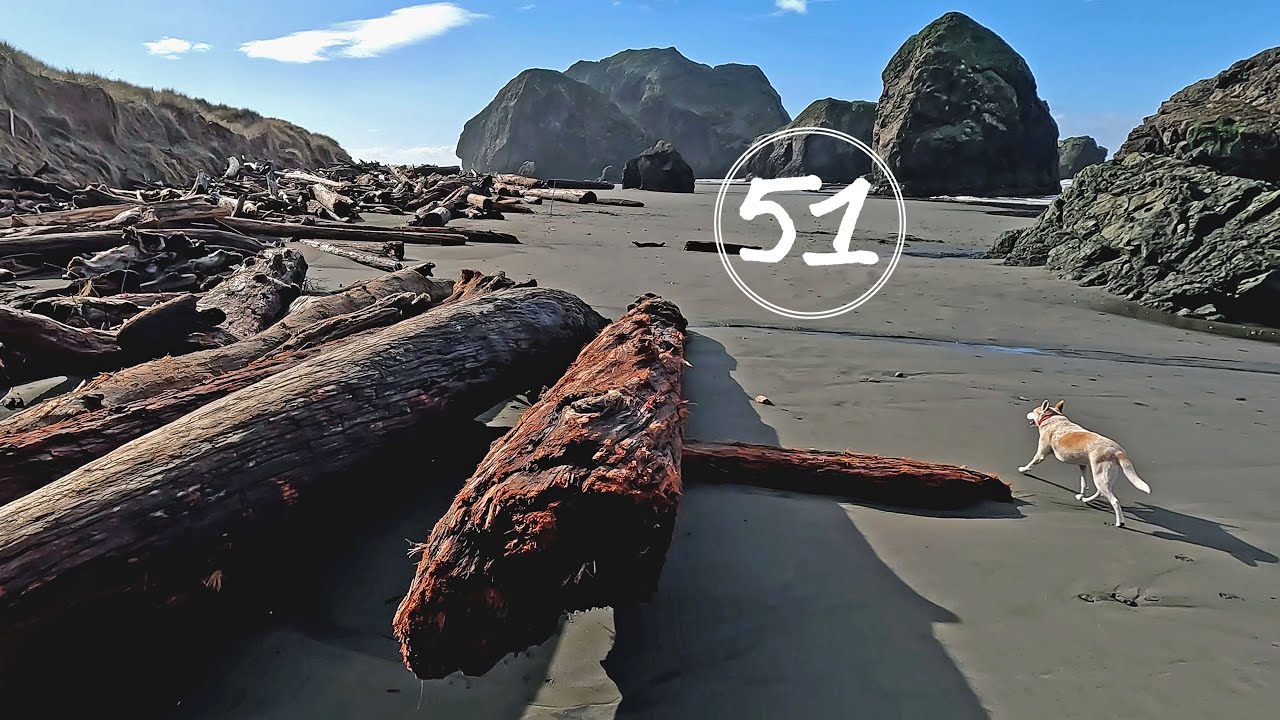 Nr 51 same beach, another day - YouTube