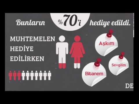 Hotiç Sevgililer Günü İnfografik Video