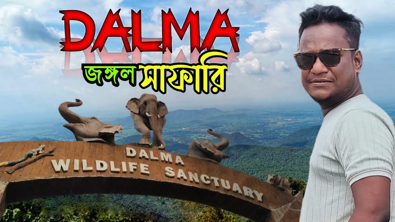 Dalma wildlife sanctuary | চলো করি দলমা পাহাড় সাফারি| Dalma Tour Plan ...
