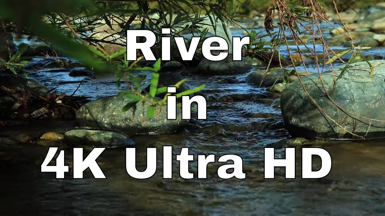 River in 4K Ultra HD - Footage Video - Free Video - No Copyright - YouTube