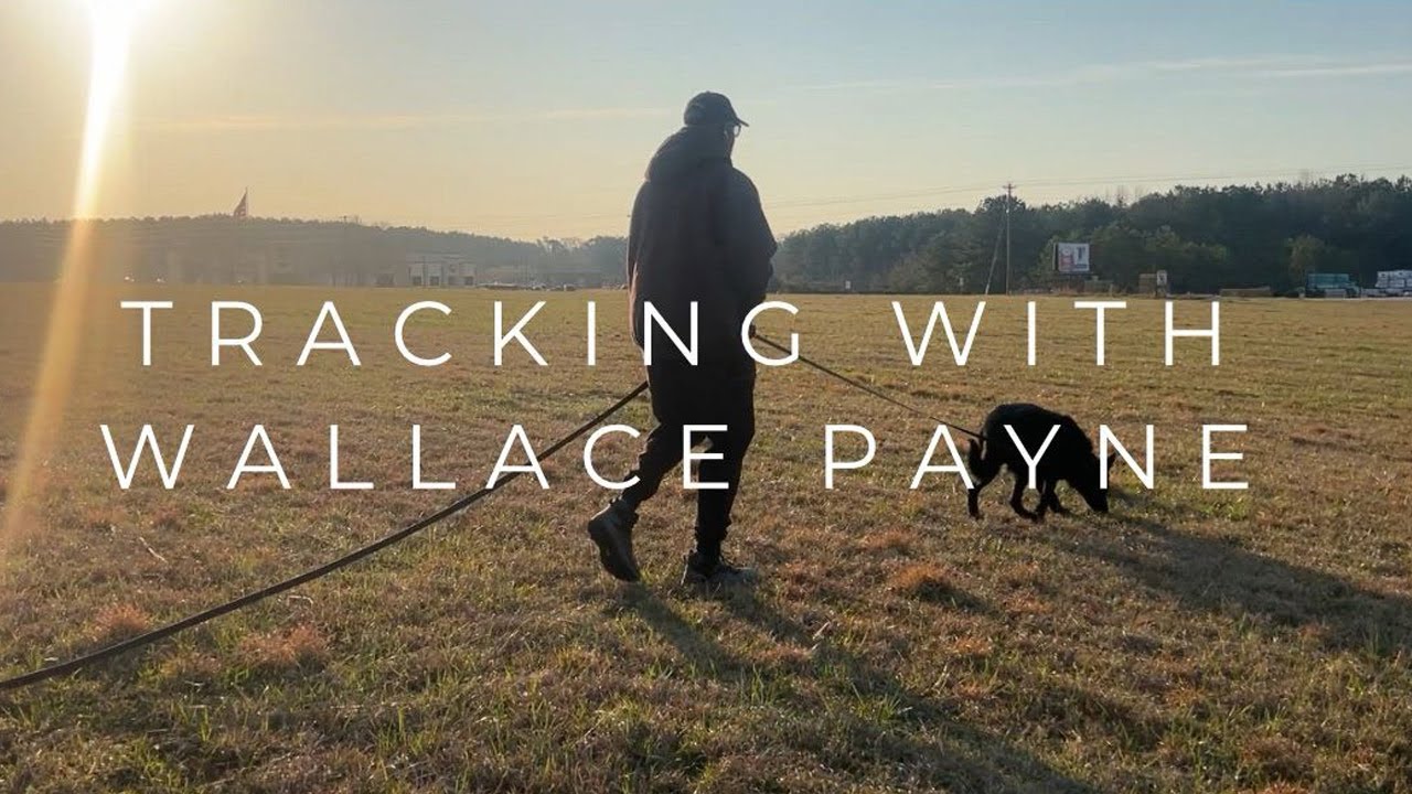 Multi Champion Wallace Payne Doing An IGP-3 Tracking Routine With His ...