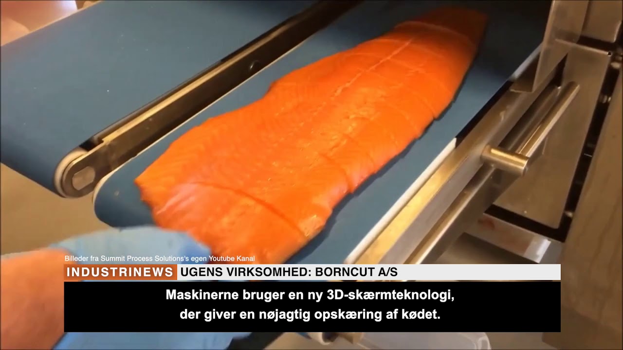 Ugens virksomhed BORNCUT A S IndustriNews - YouTube