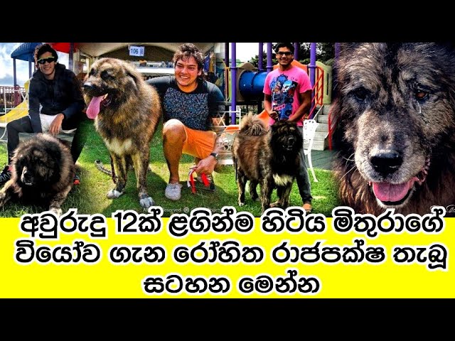 Yoshitha Rajapaksa Wedding Day Gossip Lanka Photo Gallery